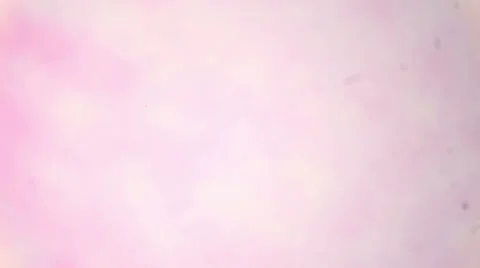 Fish blood cell under a microscope (Bloo... | Stock Video | Pond5