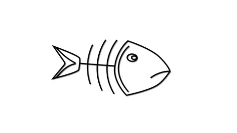 Fish bones outline seamless loop animati... | Stock Video | Pond5