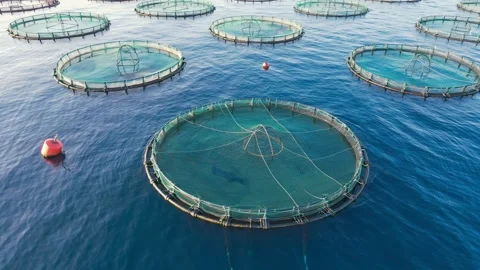 Fish cage and fish holding pen in open s... | Stock Video | Pond5