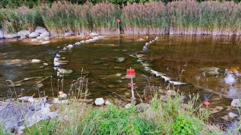 Fish counter for monitoring Atlantic sal... | Stock Video | Pond5