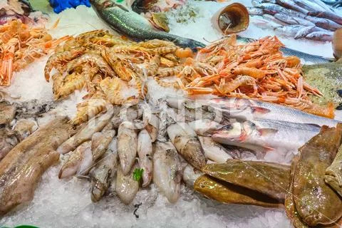 Fish, crustaceans and other seafood for sale ~ Premium Photo #177891679