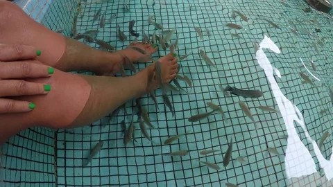 Eating On The Skin Stock Footage ~ Royalty Free Stock Videos | Pond5