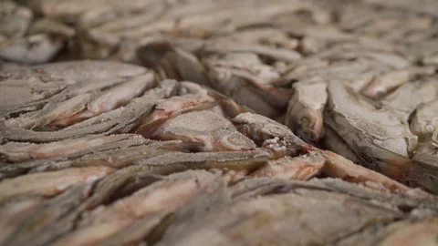 Fish factory sorting packaging frozen fi... | Stock Video | Pond5