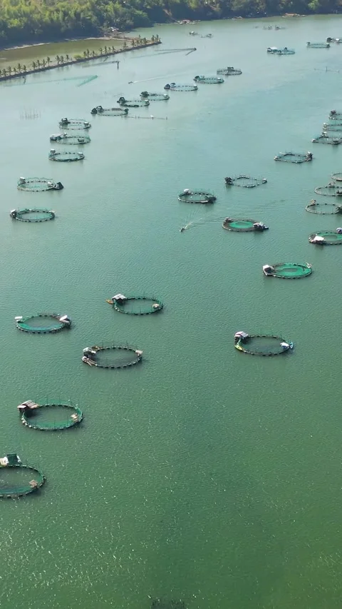 Vertical Farm Stock Footage ~ Royalty Free Stock Videos | Pond5