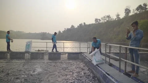 Fish Farming Ponds Stock Videos – Royalty-Free HD & 4K Videos | Page 6