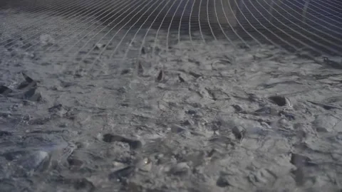 Fish Farming Ponds Stock Videos – Royalty-Free HD & 4K Videos | Page 6