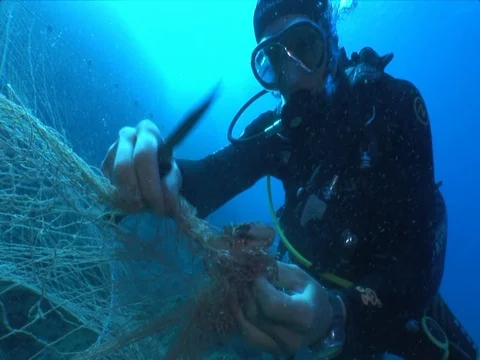 Underwater Fishing Net Stock Video Footage | Royalty Free Underwater ...