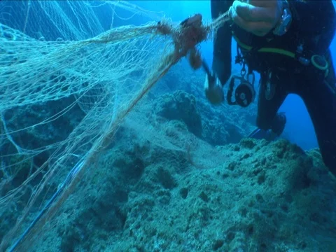 Underwater Fishing Net Stock Video Footage | Royalty Free Underwater ...