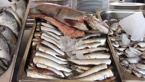 Fish on ice, different types of seafood ... | Stock Video | Pond5