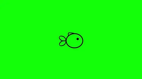 Fish Jumping Water Drop on green screen ... | Stock Video | Pond5