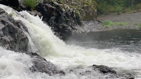 Fish Jumping Up Waterfall During Salmon ... | Stock Video | Pond5