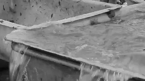 Hunter White Photo Stock Videos – Royalty-Free HD & 4K Videos