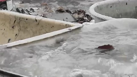 Hunter White Photo Stock Videos – Royalty-Free HD & 4K Videos