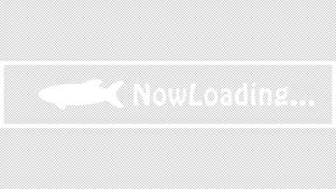 Fish loading Text animation 1080p - 30 f... | Stock Video | Pond5