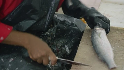 Chopping Head Off Stock Videos – Royalty-Free HD & 4K Videos | Pond5