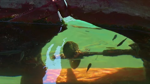 Fish Moving Around Fishing Boat in the S... | Stock Video | Pond5