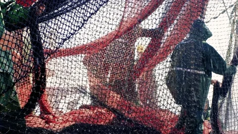 Industraial Netting Stock Videos – Royalty-Free HD & 4K Videos | Pond5