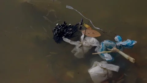 Fish pass around floating garbage in pol... | Stock Video | Pond5