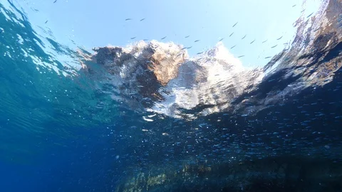 fish scenery underwater sun rays sun bea... | Stock Video | Pond5