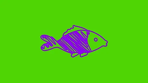 Fish scribble on green screen background... | Stock Video | Pond5