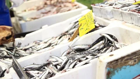 Fish sold on the street | Stock Video | Pond5
