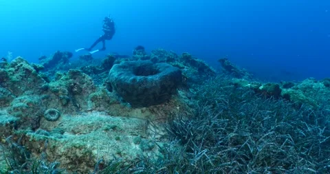fish sponge underwater sun beams sun ray... | Stock Video | Pond5