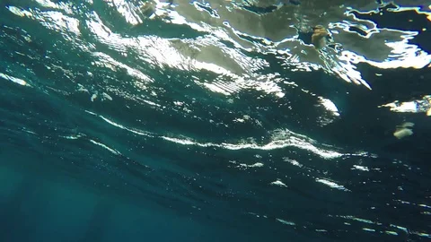 Fish swimming underneath a oil and gas w... | Stock Video | Pond5