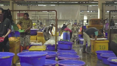 Fish traders sort fish by type and size ... | Stock Video | Pond5
