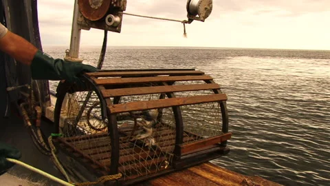 Trap Box Stock Videos – Royalty-Free HD & 4K Videos