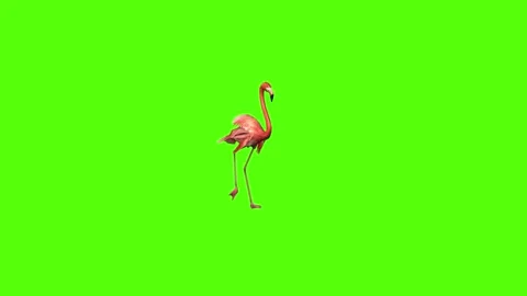 Fish Walking Green Screen Animation 4K R... | Stock Video | Pond5