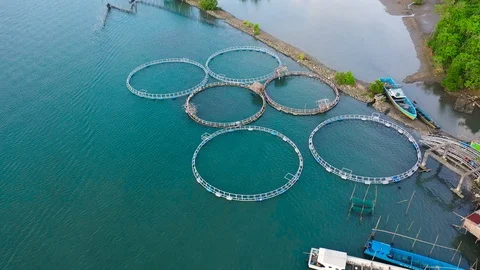 Fisheries on Luzon Island, Philippines. ... | Stock Video | Pond5