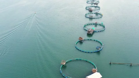 Fisheries on Luzon Island, Philippines. ... | Stock Video | Pond5