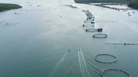 Fisheries on Luzon Island, Philippines. ... | Stock Video | Pond5