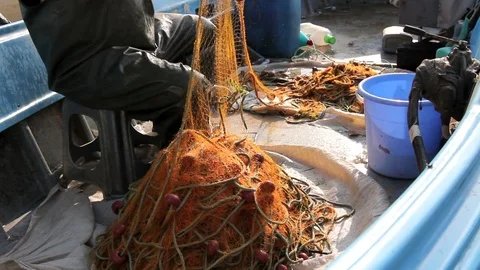 Fisherman is empty fish from net in his ... | Stock Video | Pond5