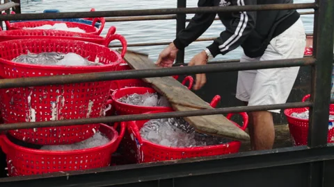 Fisherman loading fresh fish baskets on ... | Stock Video | Pond5