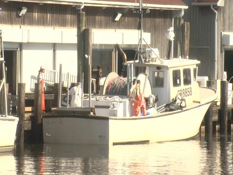 FISHING BOAT UNPACKING FISH ONTO DOCK | Stock Video | Pond5