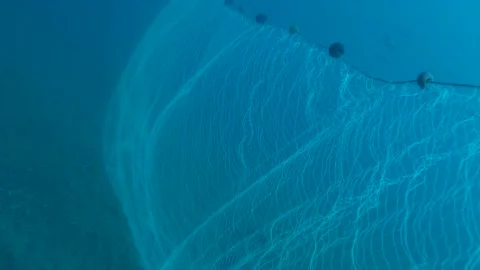 Underwater Fishing Net Stock Videos – Royalty-Free HD & 4K Videos | Page 2