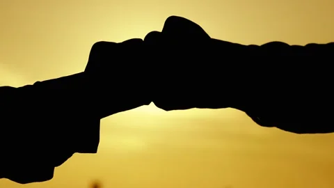 fists silhouette, handshake silhouette, ... | Stock Video | Pond5