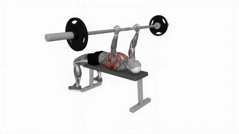 fitness exercise workout animation male... | Stock Video | Pond5