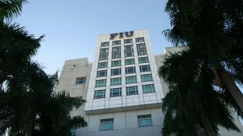 Fiu Stock Video Footage | Royalty Free Fiu Videos | Pond5