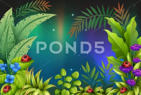 Five bugs in a rain forest Stock Illustration ~ #42345628