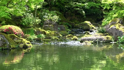 Fixed shot of the brook flowing to the p... | Stock Video | Pond5