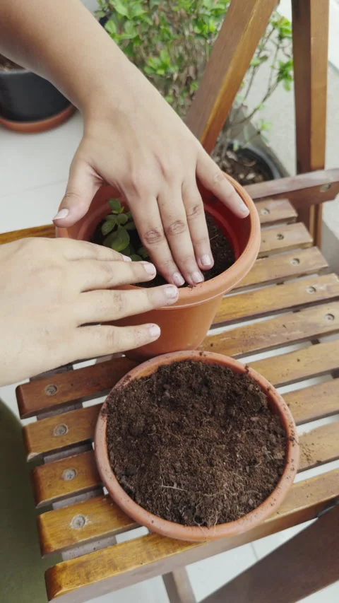 Bad T Videos Stock Videos – Royalty-Free HD & 4K Videos | Pond5