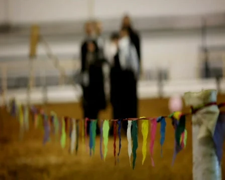 Flag barrier with cossack on background | Stock Video | Pond5