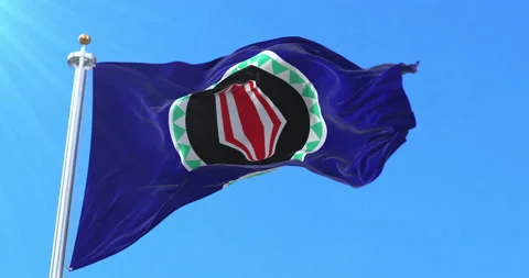 Flag of Bougainville, Papua New Guinea. ... | Stock Video | Pond5