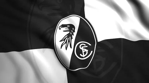 Flag with emblem of German football team... | Stock Video | Pond5
