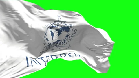 Interpol Stock Video Footage | Royalty Free Interpol Videos | Pond5