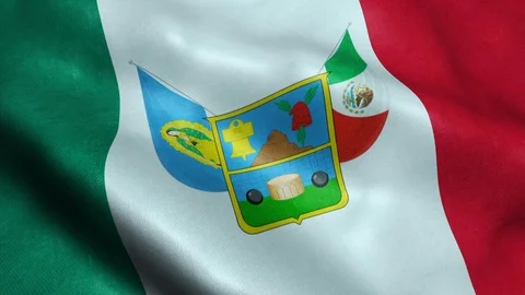 Flag of the Mexico State of Hidalgo Seam... | Stock Video | Pond5