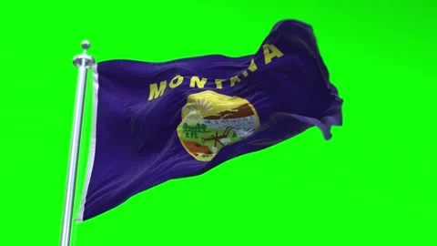Flag of Montana US State waving flag ani... | Stock Video | Pond5