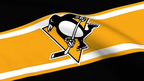 Flag with Pittsburgh Penguins Logo Loop | Stock Video | Pond5